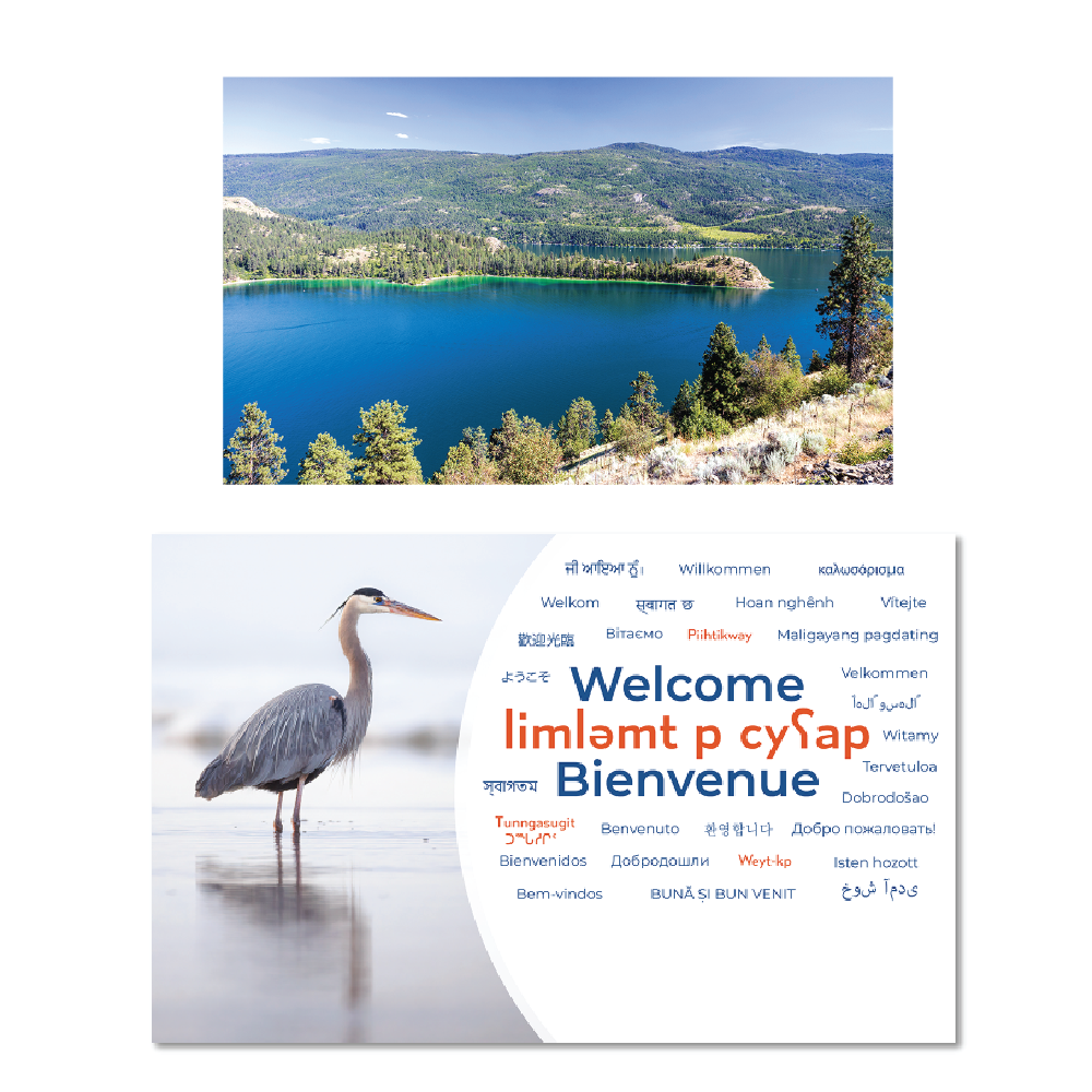 Murals for Interior Health 4 – Mural Guys